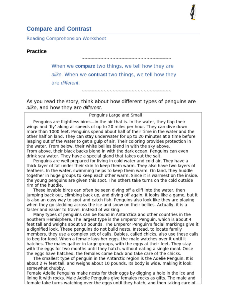 Penguin Behavior: Compare & Contrast | PDF | Penguin | Zoology