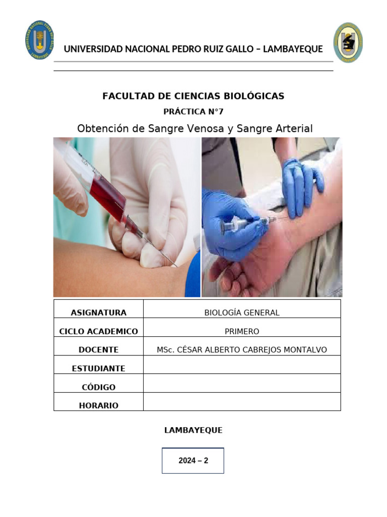 Formato de Informe Practica 2024-2 | PDF