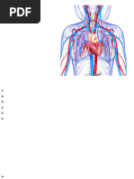Circulatory System of Frog | PDF | Heart | Atrium (Heart)