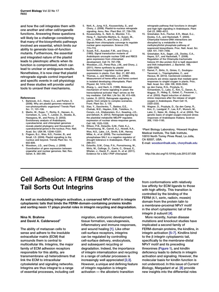 Cell Adhesion A FERM Grasp of The Tail Sorts Out Integr - 2012 ...