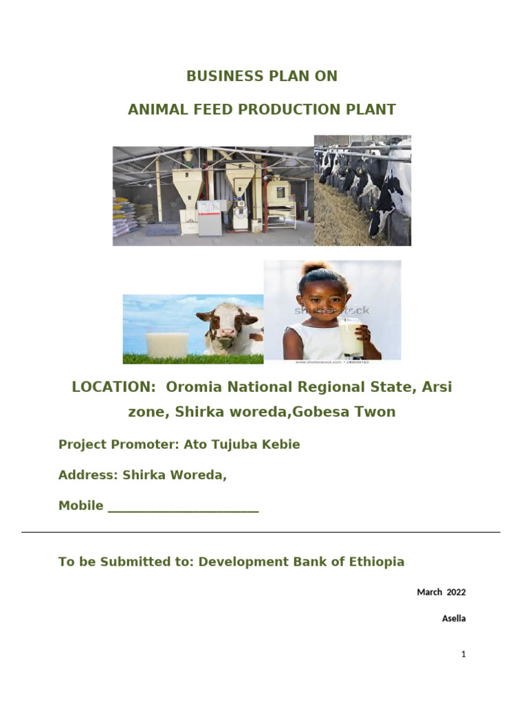 Tujuba Kebie Project Business Plan On Animal Feed Production | PDF ...