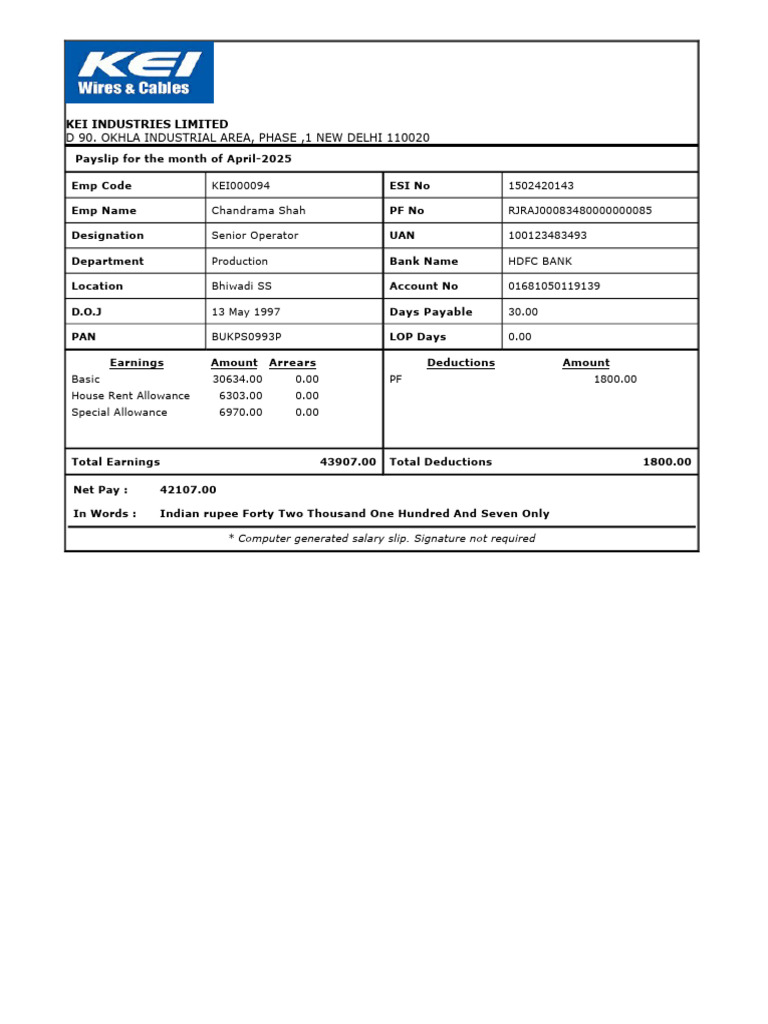 Pay Slip | PDF