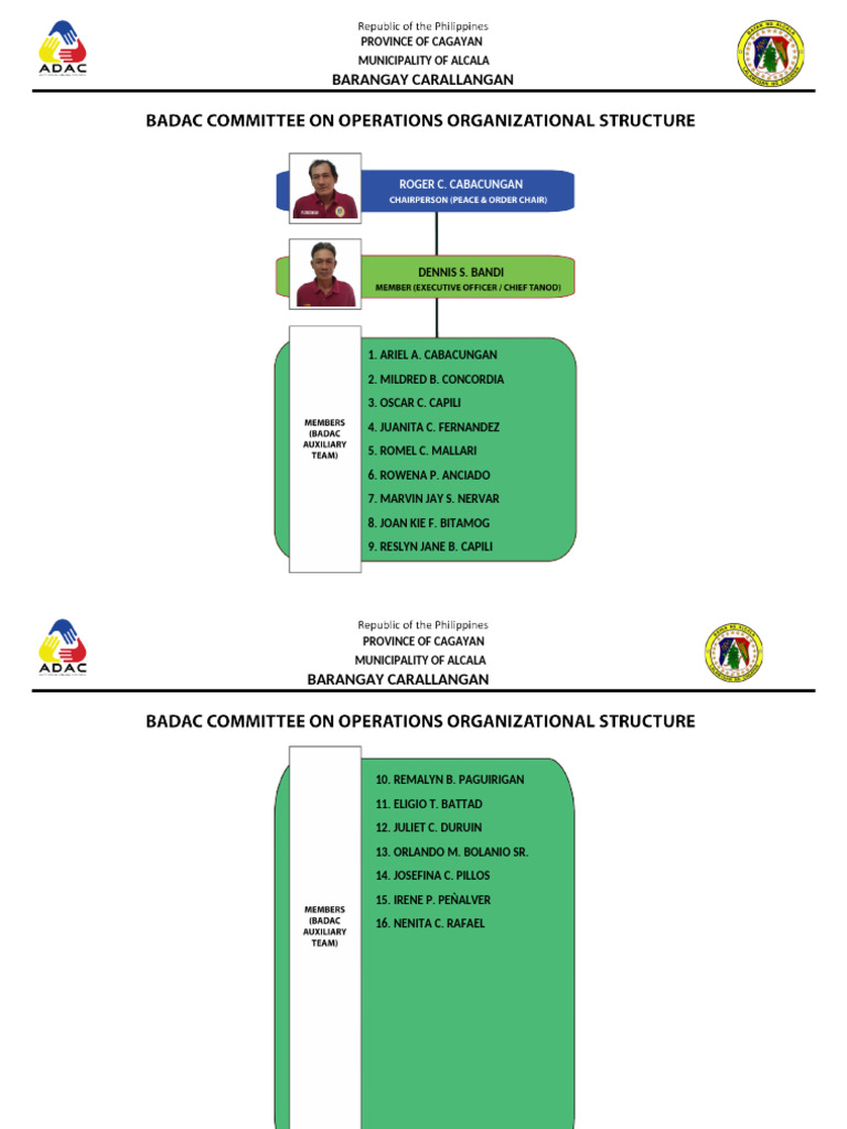 BADAC TEMPLATE - Committee On Operations Organizational Structure | PDF