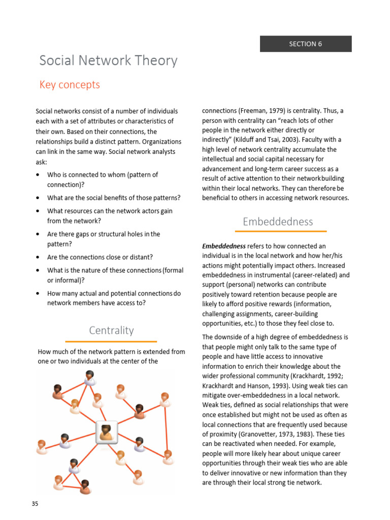 Section 6 Faculty Mentoring in A Networked World | PDF | Social Network | Behavioural Sciences