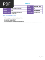 CAT PAT Task Guidelines 2024 | PDF | Spreadsheet | Information