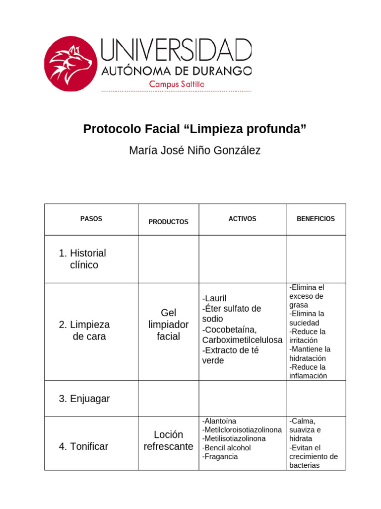 Protocolo Facial Limpieza profunda | PDF