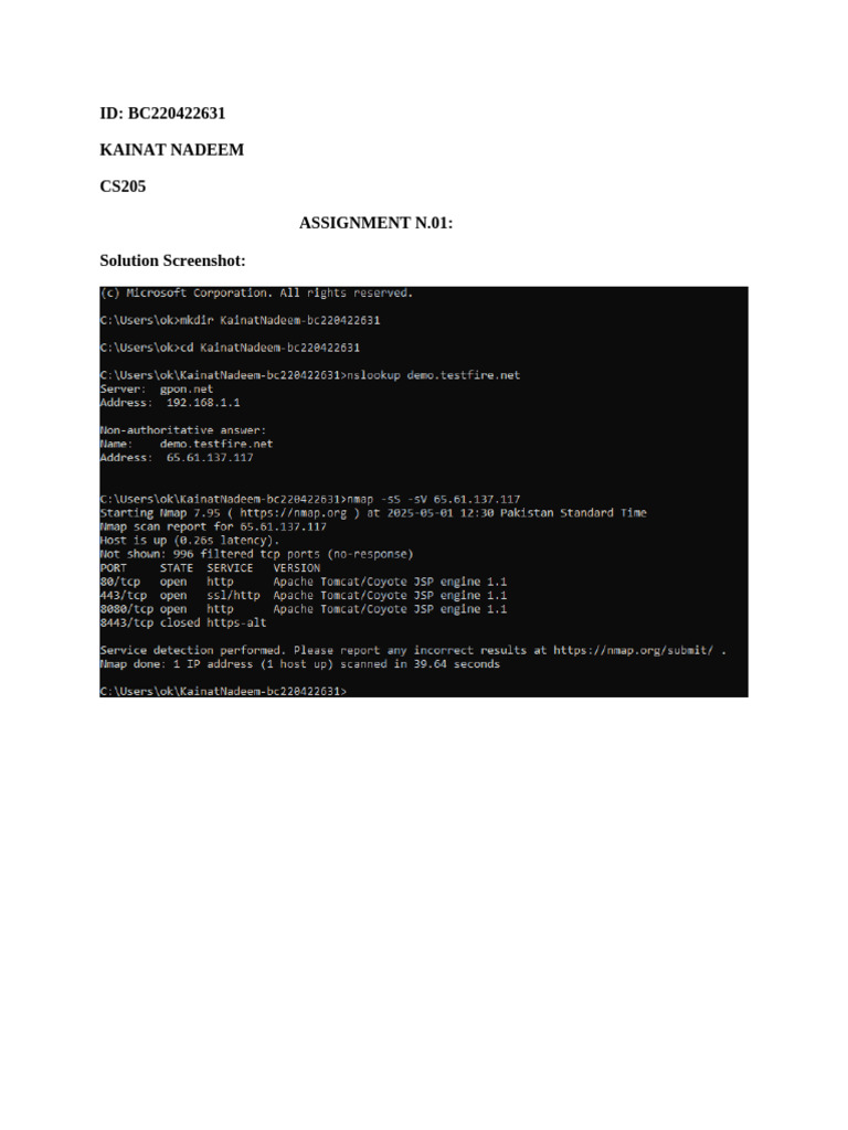 cs205 Assignment 1 2025 | PDF