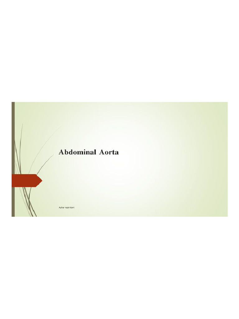 Abdominal Aorta | PDF