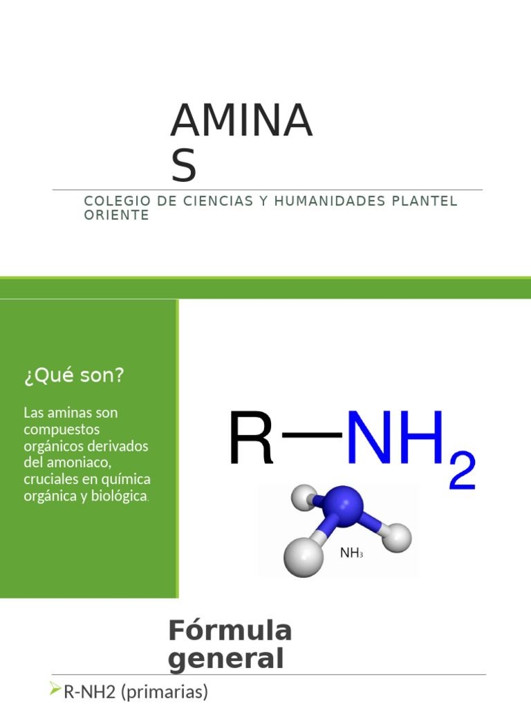 Estructura y Nomenclatura de Aminas | PDF | Amina | Cetona