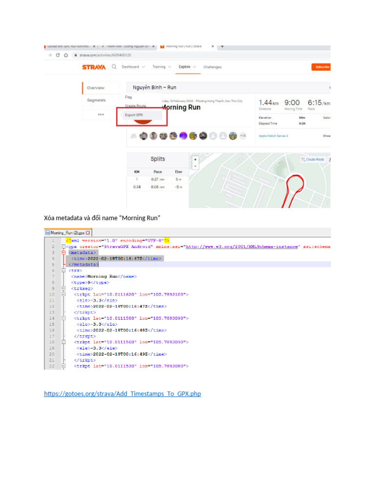 Importdata Strava | PDF