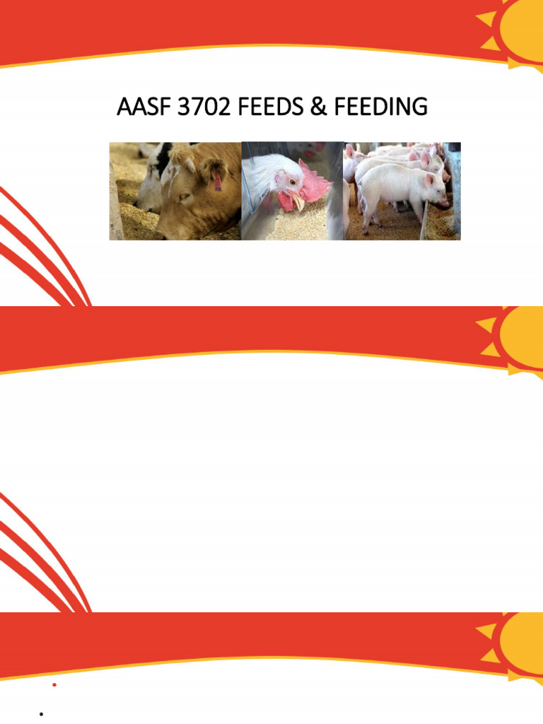 Hydroponic Fodder Production 2023 | PDF | Fodder | Cereals