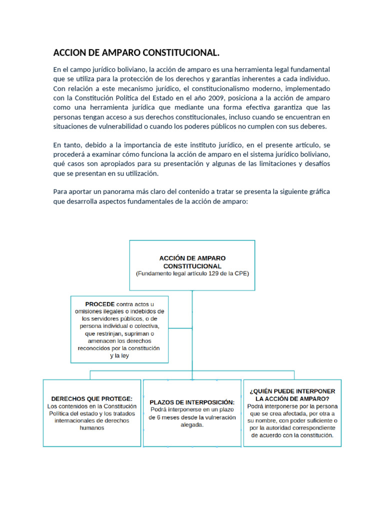 Accion de Amparo Constitucional - Proteccion de Privacidad | PDF | Privacidad | Ley Pública