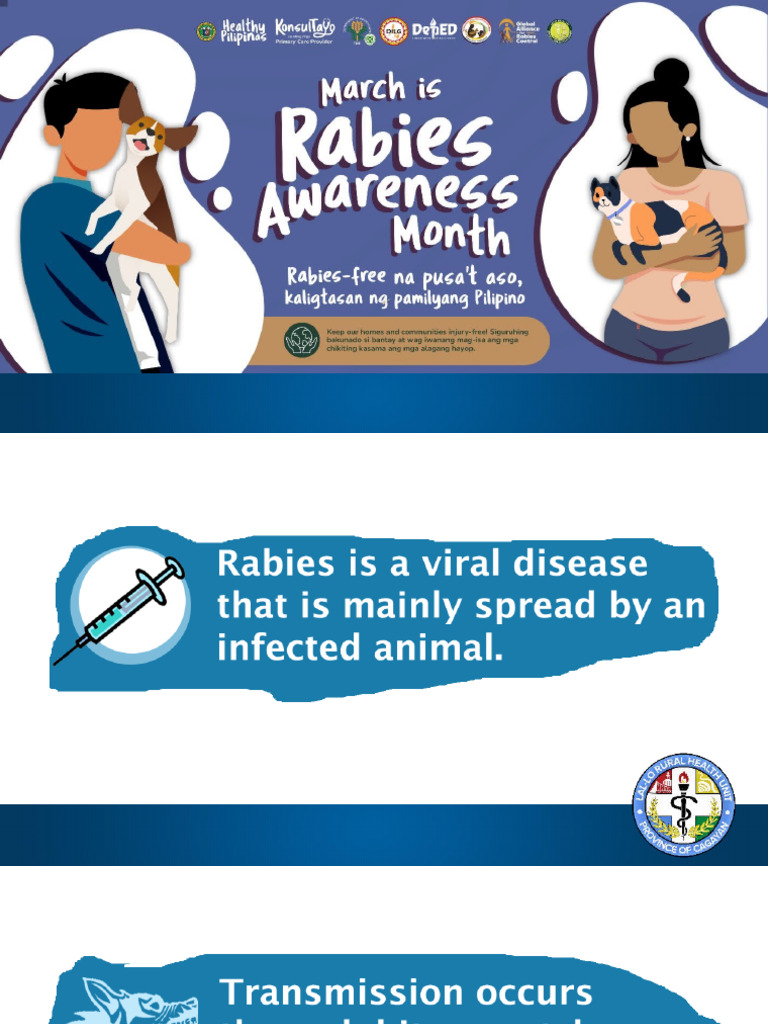 Rabies Awareness Iec | PDF | Rabies | Leash