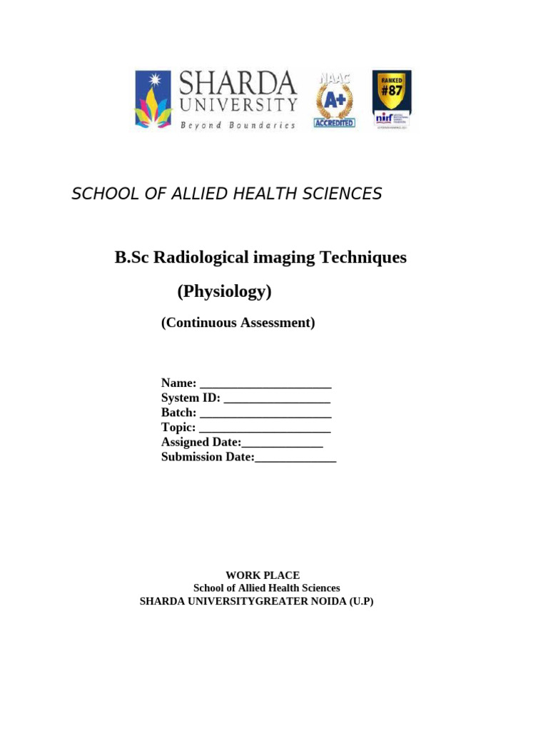 BIT Assignment Formate | PDF