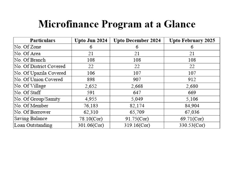 Microfinance Program Overview 2024-2025 | PDF