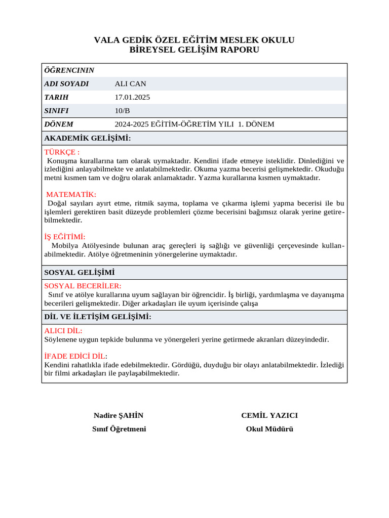 Ali Can | PDF
