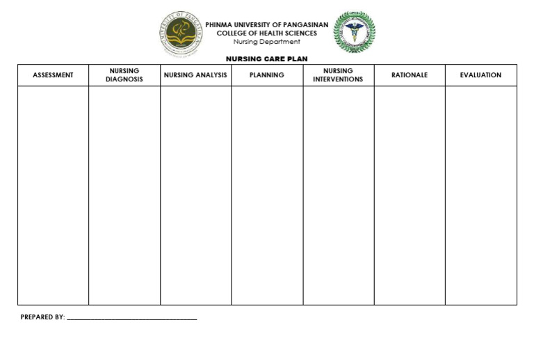 NCP-TEMPLATE | PDF