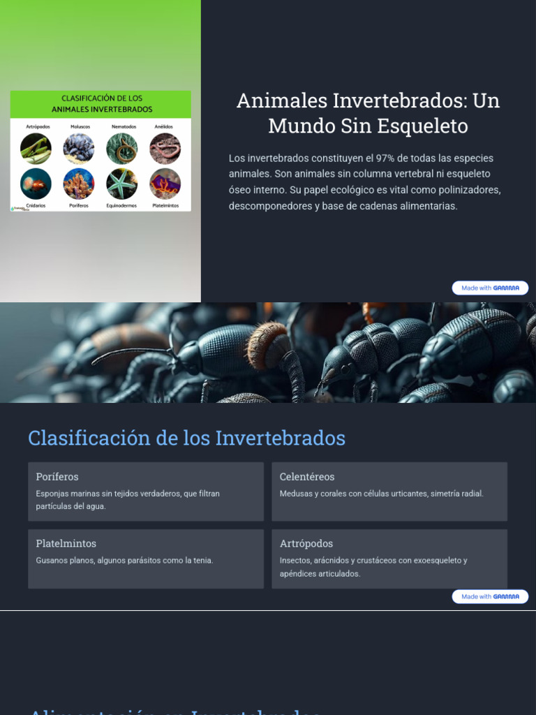 Animales Invertebrados: Sin Esqueleto | PDF