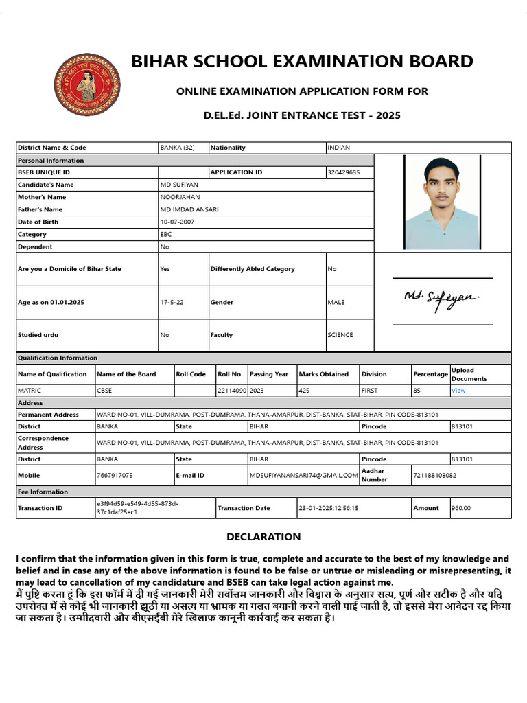 DELED APPLICATION FORM | PDF | Personal Identification Number