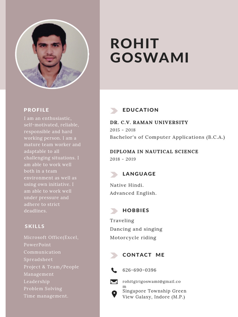 Rohit CV | PDF