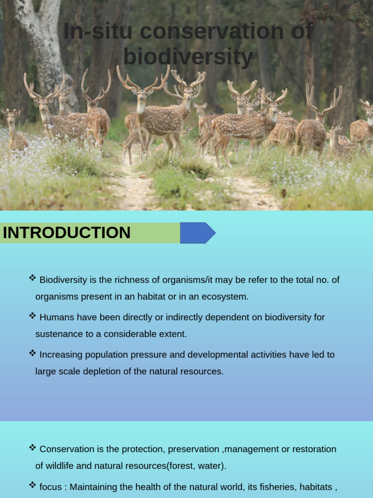 In Situ Conservation of Biodiversity | PDF | Conservation Biology ...