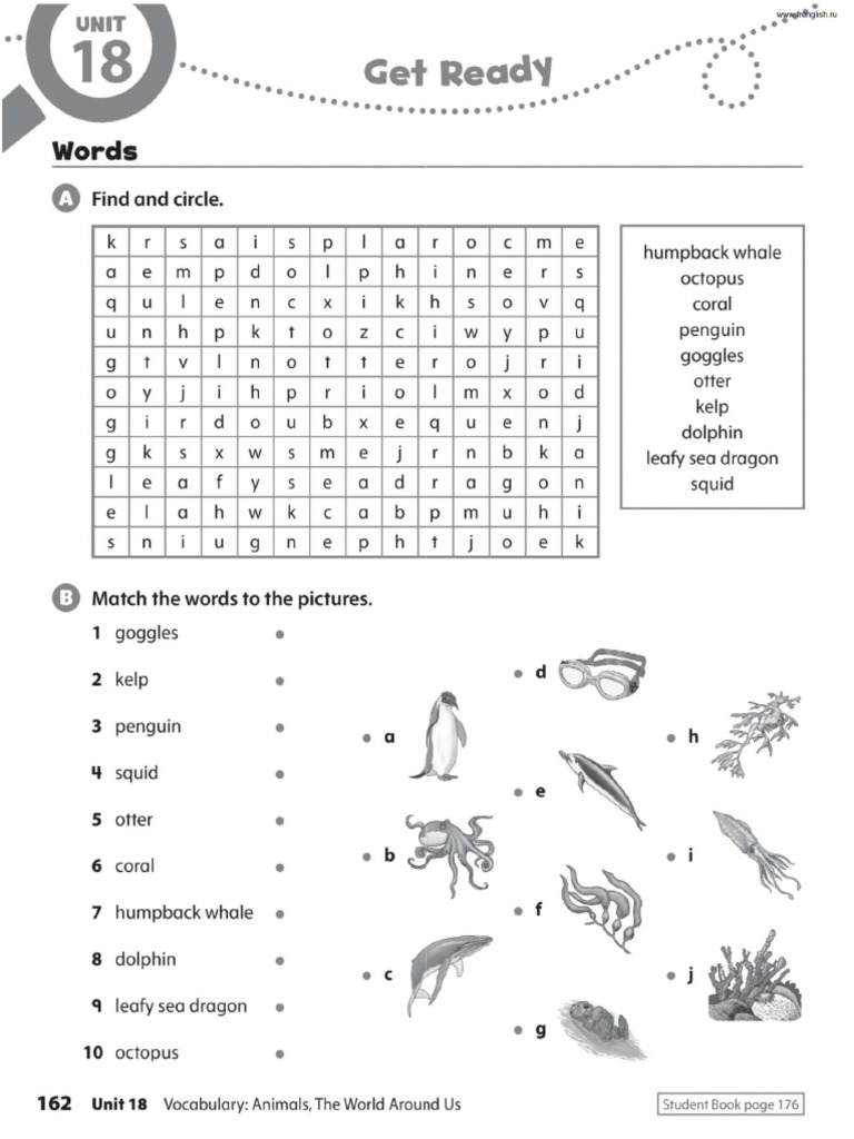 Alo | PDF