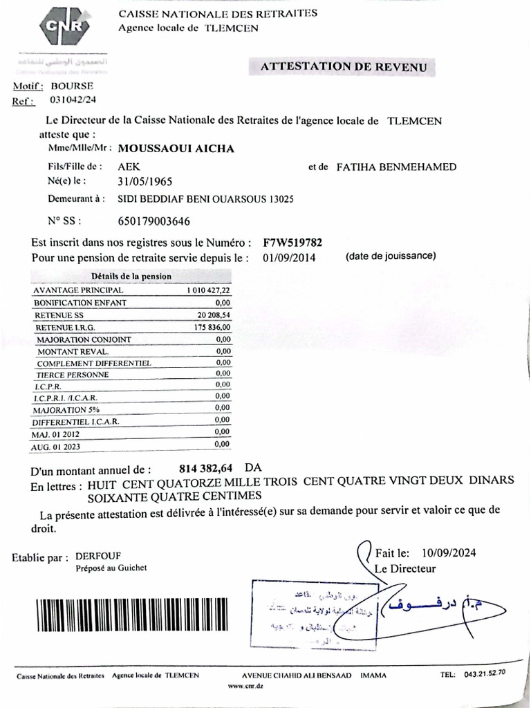 Revenu Annuel Mere 12671525 | PDF