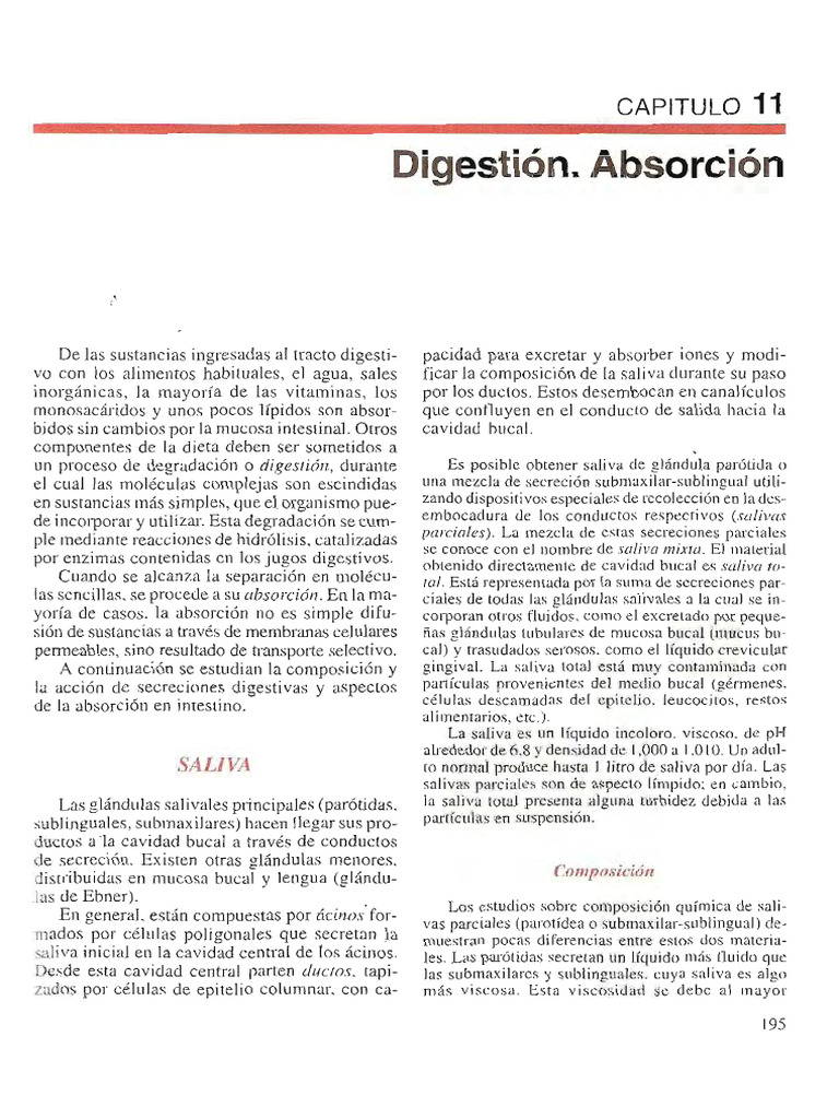 Cap Digestion | PDF