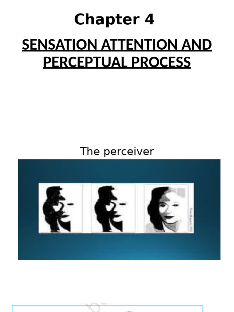 XI Attention Sensation | PDF | Perception | Psychology