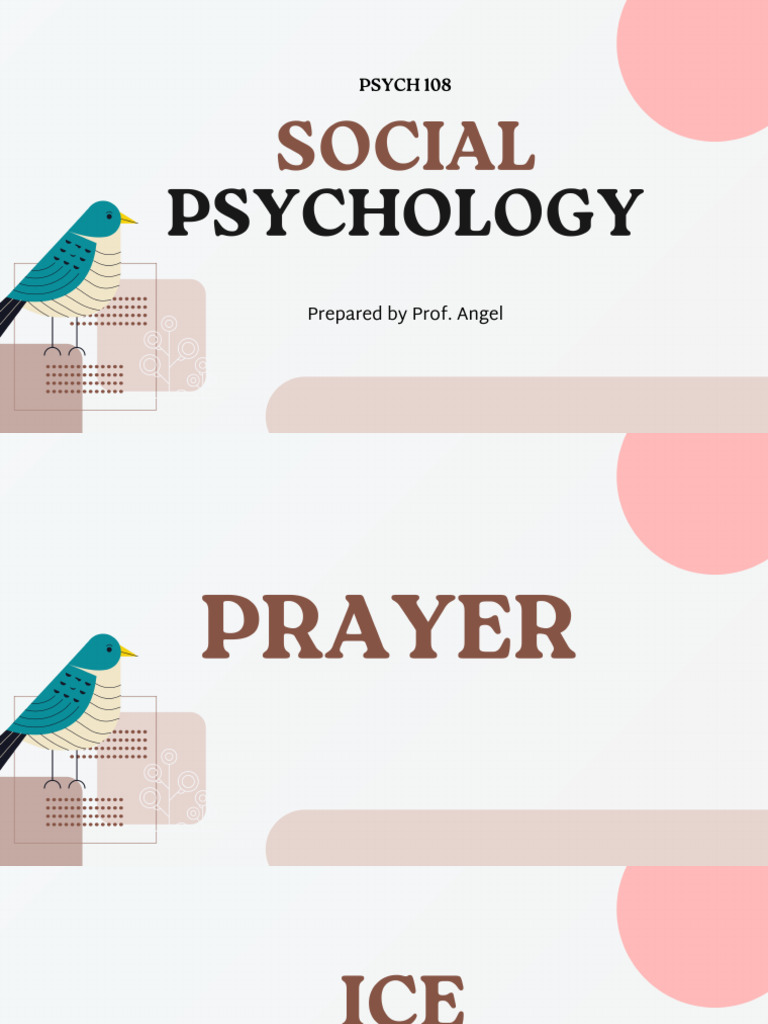 Lesson 1. Introducing Socialpsych | PDF