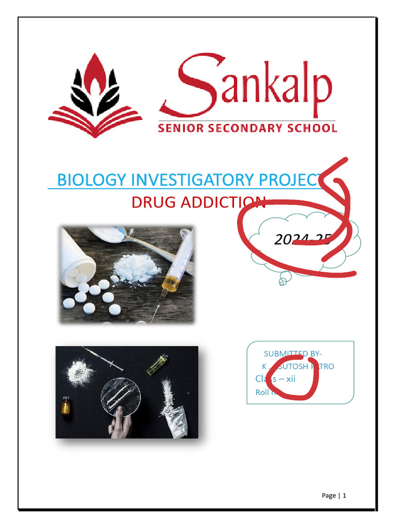 Drug Addiction: A Biology Project Overview | PDF | Drugs | Substance ...
