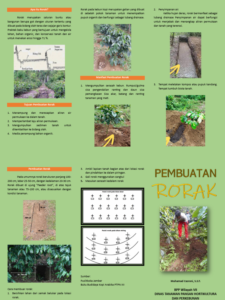 Fungsi dan Pembuatan Rorak pada Kebun | PDF