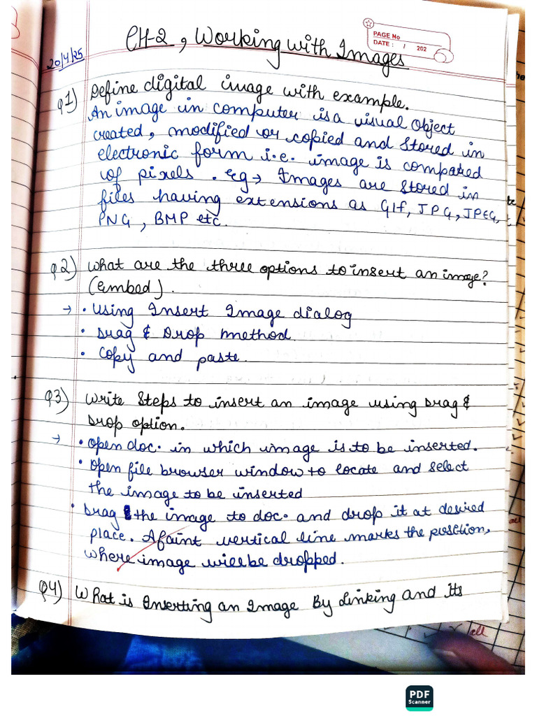 Class 10 IT ch-2 | PDF