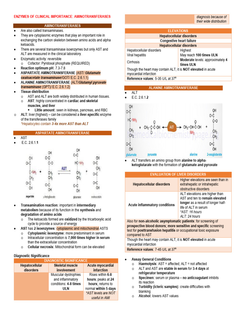Enzymes of Clinical Importance 5.2 | PDF | Alanine Transaminase ...