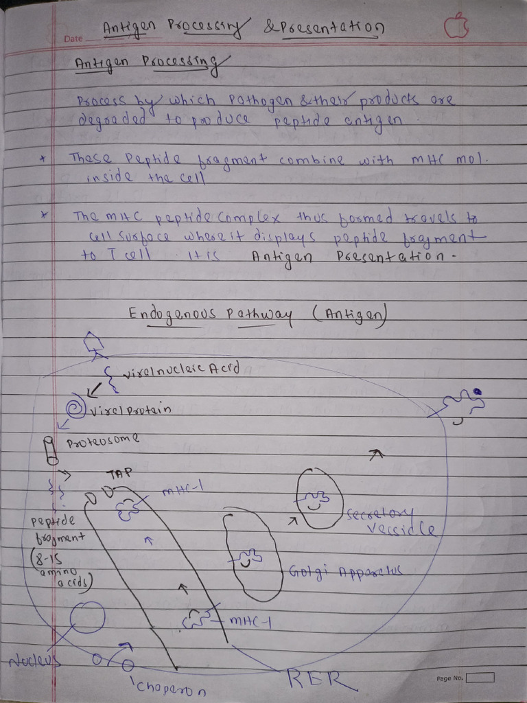 Pageno ( I | PDF