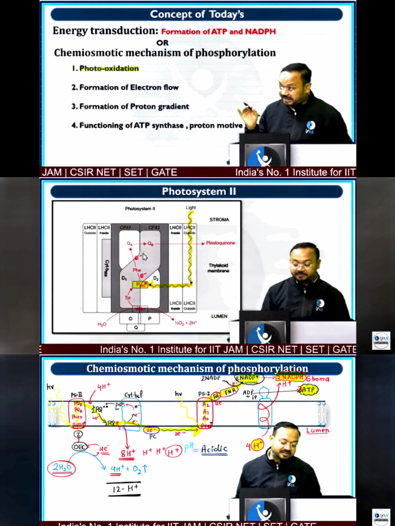 3.psii and Psi Energy Transduction | PDF | Physiology | Cellular Processes
