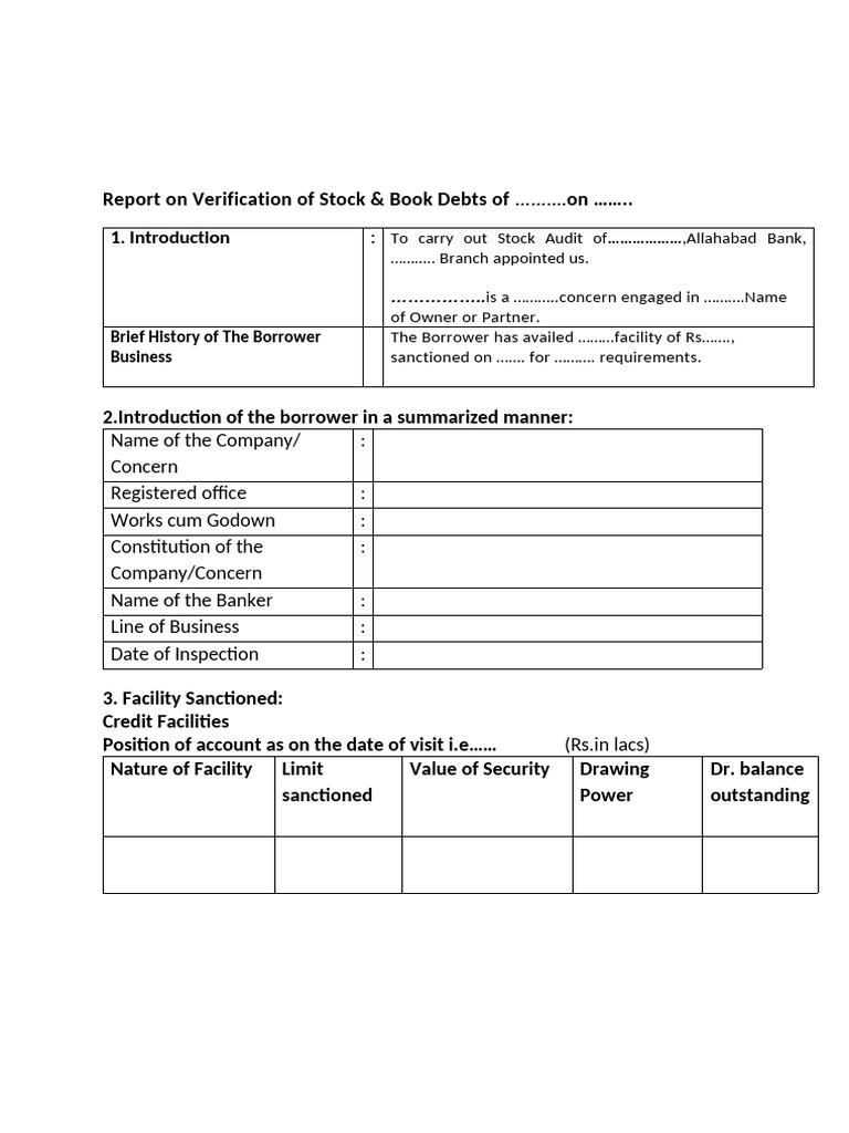 Stock Audit Report for Bank Verification | PDF | Stocks | Economies
