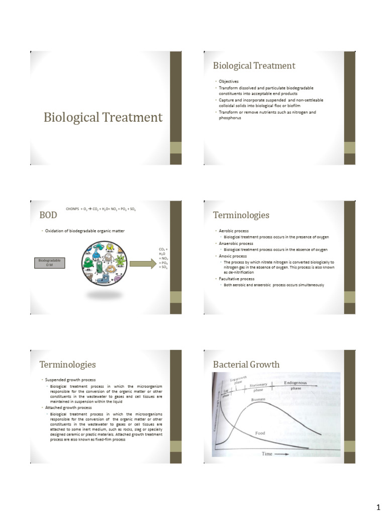 Biological Treatment - ASP | PDF | Chemical Reactor | Chemical Engineering