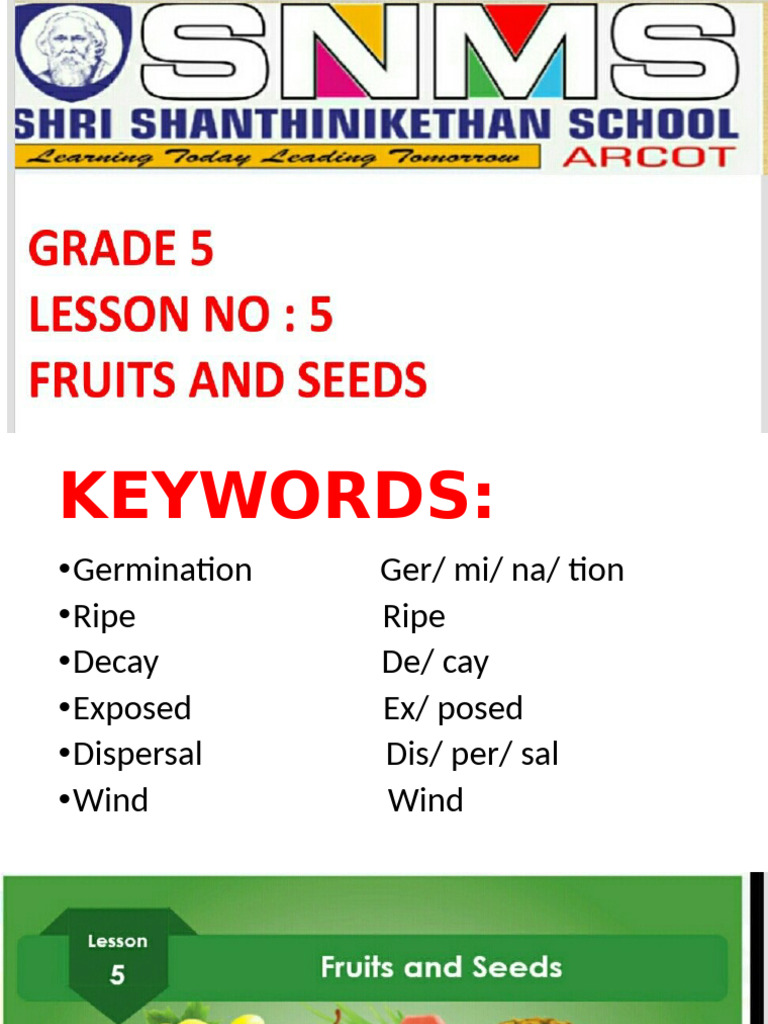 Grade 5 LN No 5 Fruits and Seeds Day 2 | PDF