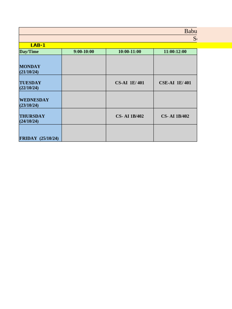 Babu Banarasi Das University Lab Schedule | PDF