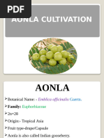 Single Seed Descent Method | PDF | Plant Breeding | Dominance (Genetics)