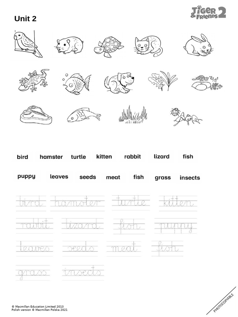 Tiger&Friends 2 - TRF - Unit 2 - DIY - Bank | PDF