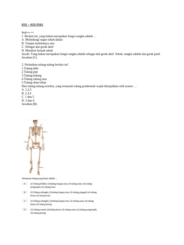 Latihan Ipas Kels | PDF