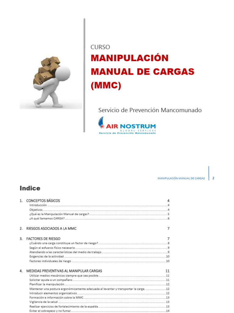 Manejo Manual de Cargas | PDF
