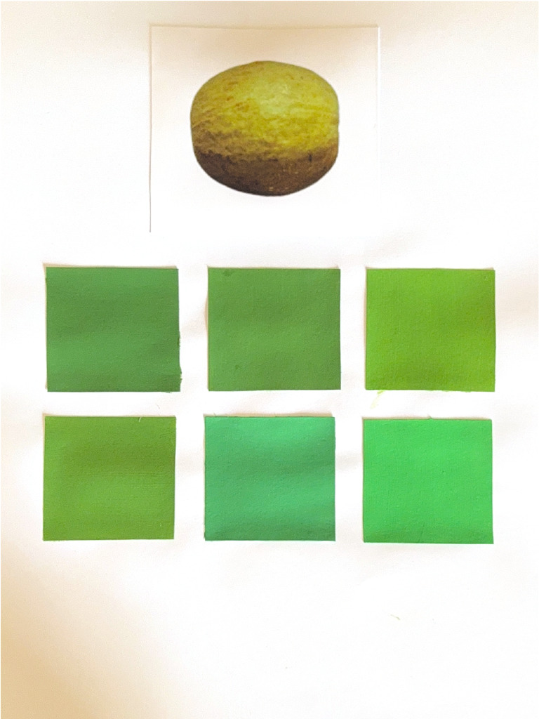 Natural Object | PDF