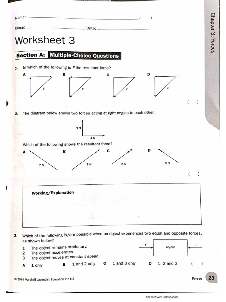 Chapter 3 Worksheet | PDF