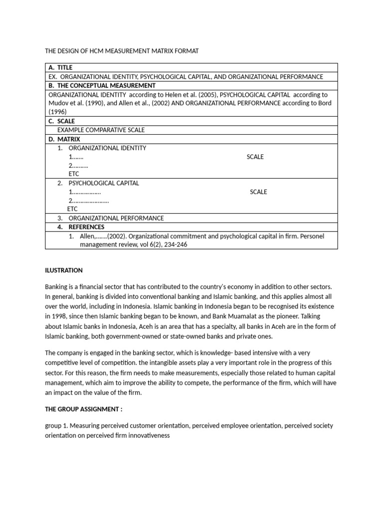 The Design of HCM Measurement Matrix Format | PDF | Islamic Banking And ...