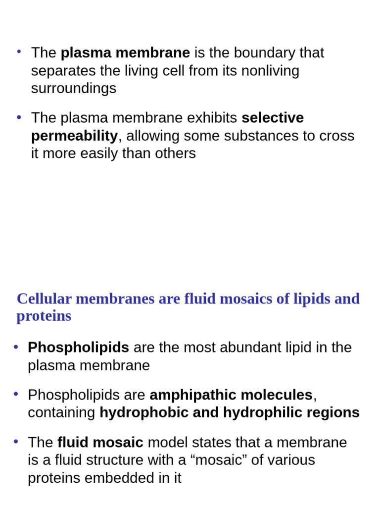 7. CH 7 PPT Membrane Structure and Function2 | PDF | Cell Membrane | Cell Signaling