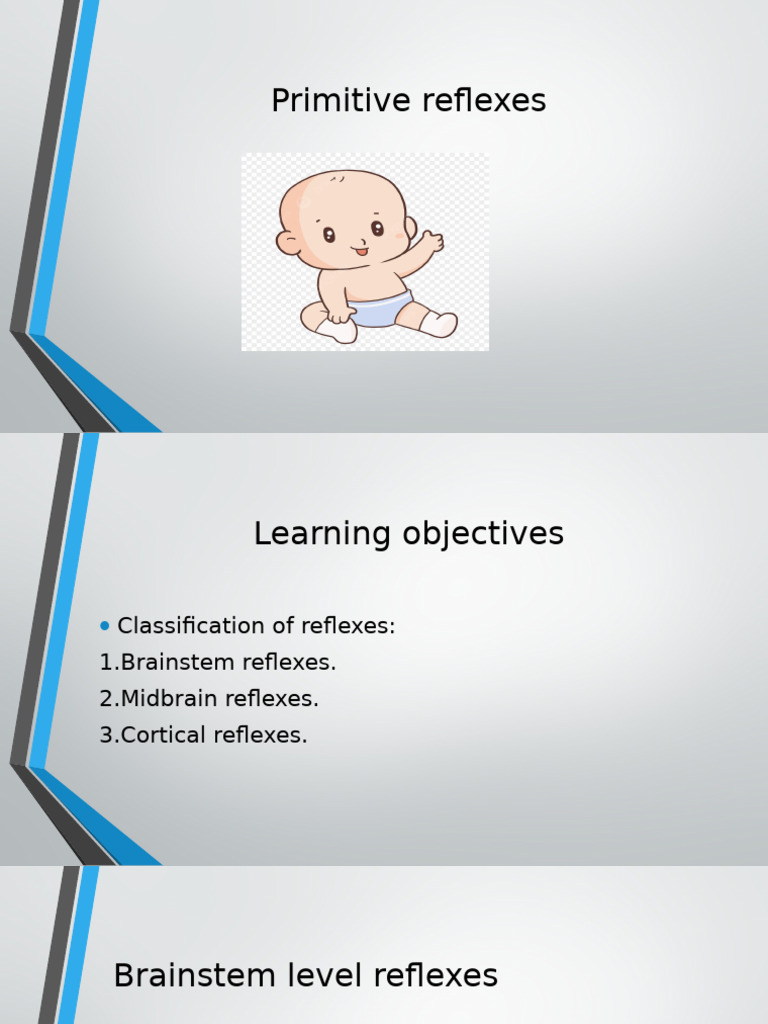 Primitive Reflexes | PDF | Anatomical Terms Of Motion | Reflexes
