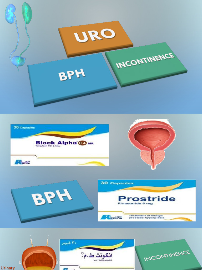 BPH Treatment: Alpha-Blockers Overview | PDF | Urinary Incontinence ...